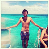 Grecian Rock Coral Reef - Atlantic Ocean