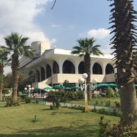 Egyptian Shooting Club | نادى الصيد المصرى - 44 tips from 1576 visitors