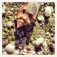 Point of Rocks - 7132 Point of Rocks Cir