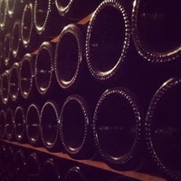 Zenato Winery - Peschiera del Garda, Veneto