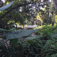 Dickson Azalea Park - Lawsona- Fern Creek - 100 Rosearden Drive