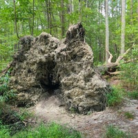 Stumpy Lake Nature Trail - Kempsville - Unnamed Rd