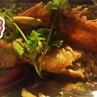 Red Snapper - 26 tips from 888 visitors