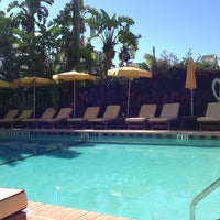 The Pool at Freehand Miami - Ocean Front - Miami, FL