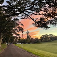 Auckland Domain - 31 tips from 2519 visitors