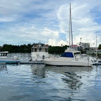 Tagbilaran City Bohol Port - Pier