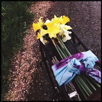 Jumping Jiminy's - 1 tip