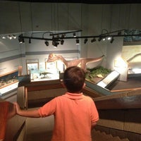 Pink Palace Museum and Planetarium - 46 tips from 1709 visitors