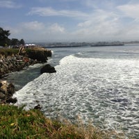 Lighthouse Field State Beach - Westside - 8 tips