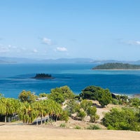 One Tree Hill - Scenic Lookout