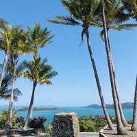 One Tree Hill - Scenic Lookout
