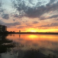 Lake Ivanhoe Park - Central Business District - 8 tips from 527 visitors