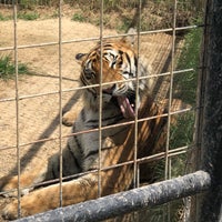 G.W. Exotic Animal Park - Zoo in Wynnewood