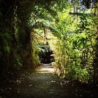 Pelorus River - 1 tip