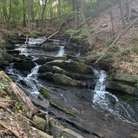 Falling Waters Preserve - Nature Preserve