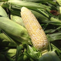 Allandale Farm - Jamaica Hills - Pond - 259 Allandale Rd