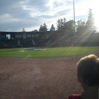 Melaleuca Field - 8 tips