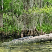 Bayou Segnette State Park - State / Provincial Park in Westwego