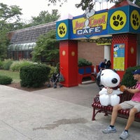 Joe Cool Cafe (Now Closed) - 16 tips