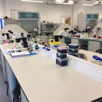 Dainton Building - University of Sheffield - College Science Building