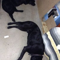 Animal Protective League - Building in Springfield