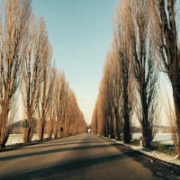 Creazzo - Vicenza, Veneto