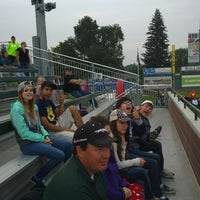 Melaleuca Field - 8 tips