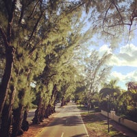 Pine Tree Drive - Road in Miami Beach