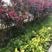 Alexandra Park Connector - Central Region - Along Alexandra Canal