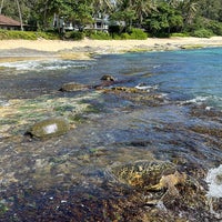 Papailoa Beach - Beach in Haleiwa