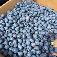 Graysmarsh Berry Farm - Farm in Sequim