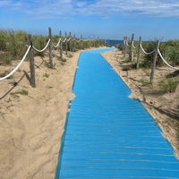 Poodle Beach - Rehoboth Beach, DE