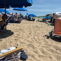 Poodle Beach - Rehoboth Beach, DE