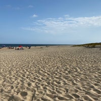 Poodle Beach - Rehoboth Beach, DE