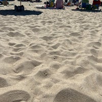 Poodle Beach - Rehoboth Beach, DE