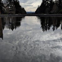 UW: Drumheller Fountain - University District - 11 tips from 1196 visitors