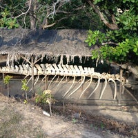 Bukit joko tuo - 1 tip from 77 visitors