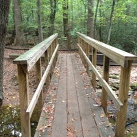 Big Trees Forest Preserve - Sandy Springs, GA