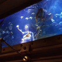 Dive Bar - Dive Bar in Downtown Sacramento