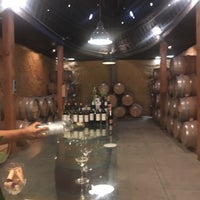 Vena Cava Vinícola - Rancho San Marcos, Toros Pintos, Valle de Guadalupe