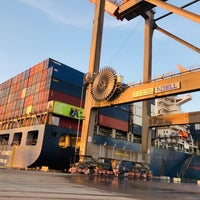 APL Shipping Terminal - Structure in San Pedro