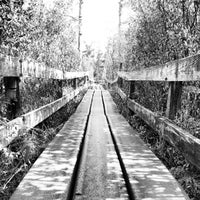 Volo Bog State Natural Area - Nature Preserve in Ingleside