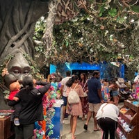 Rainforest Cafe - Theme Restaurant