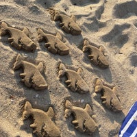 Covell's Beach - Beach
