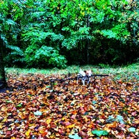 Swords Town Park - 2 tips