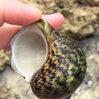 Warwick Fiji Resort & Spa - Komave Village, Western