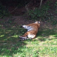 Yorkshire Wildlife Park - Zoo in Doncaster