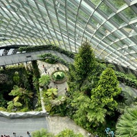 Cloud Walk - Bridge in Singapore