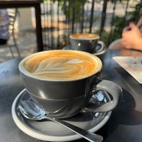 Chocolate Fish Coffee - Coffee Shop in Sacramento