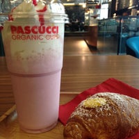 Caffe Pascucci - Café in Duomo